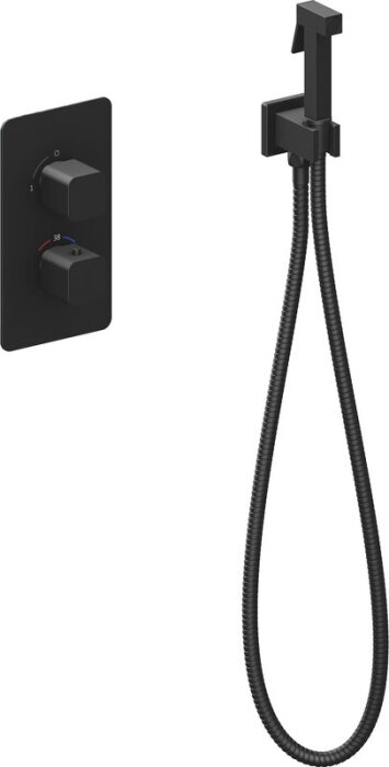 Гигиенический душ Timo Petruma 5089/03SM со смесителем, С внутренней частью, черный