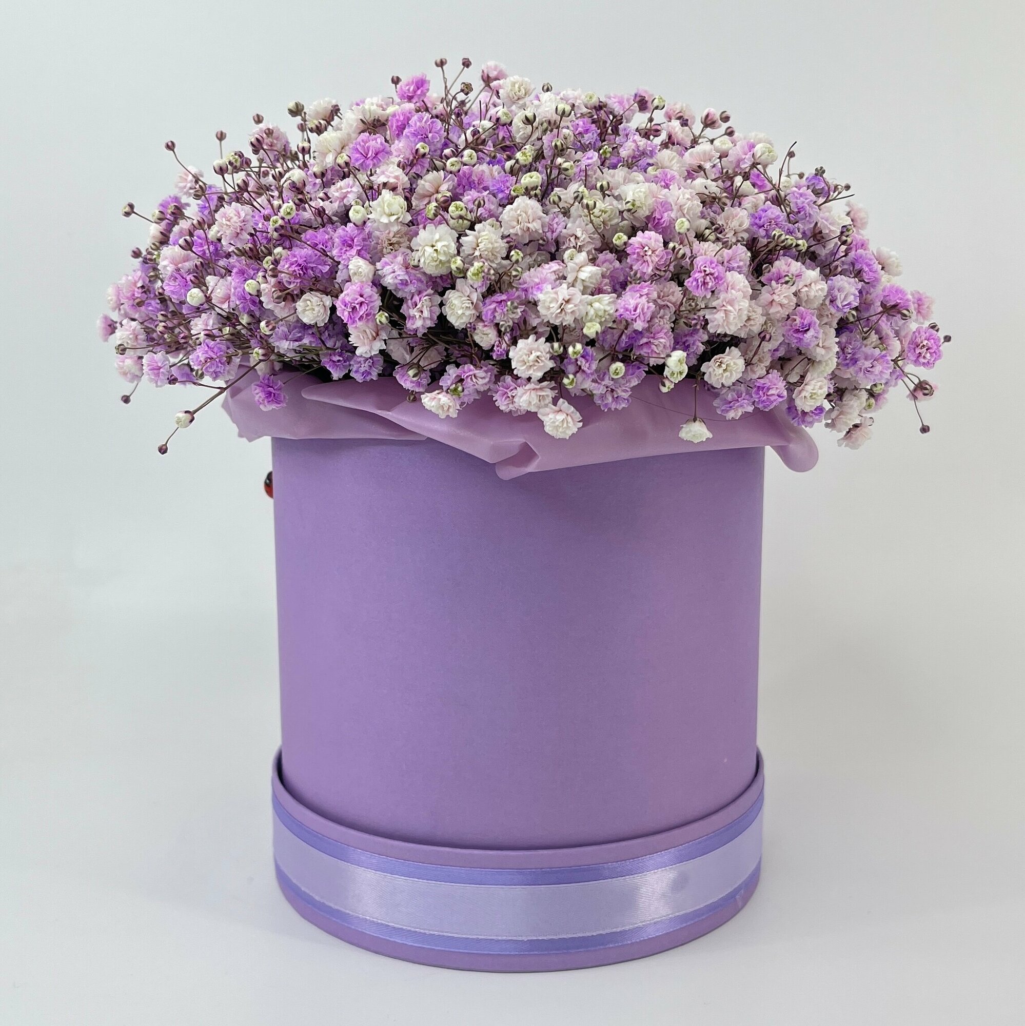 Цветочная коробка Darling из лавандовая гипсофилы