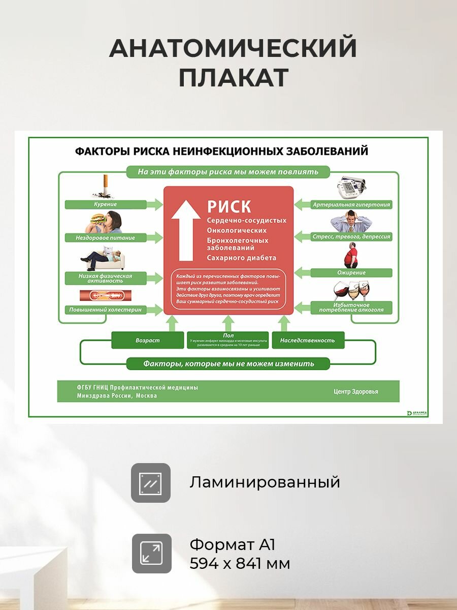Обучающий медицинский плакат ламинированный формат А1 Факторы риска неинфекционных заболеваний