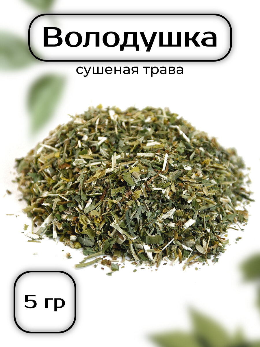 Володушка золотистая, сушеная трава - 5 гр