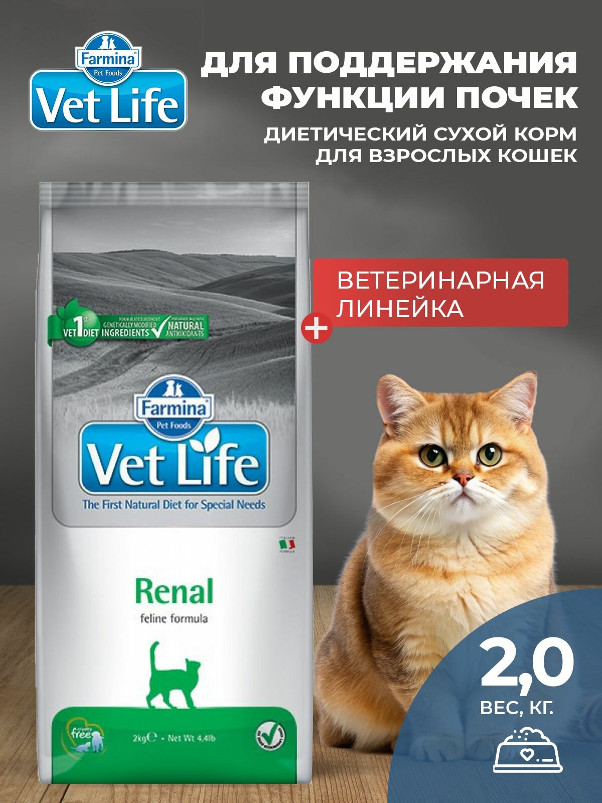 Cухой корм для кошек Farmina Vet Life Renal (Вет Лайф кэт Ренал) 2 кг При болезнях почек, ХПН