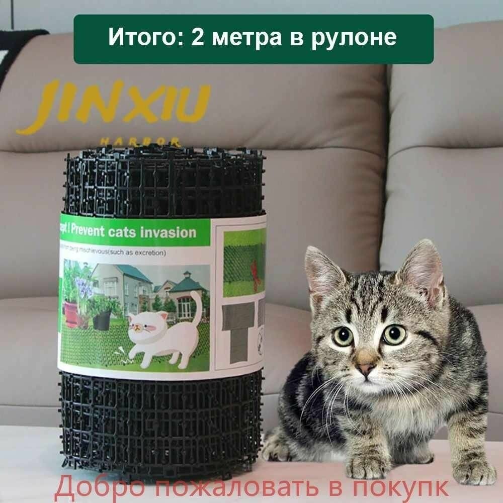 Когтеточка