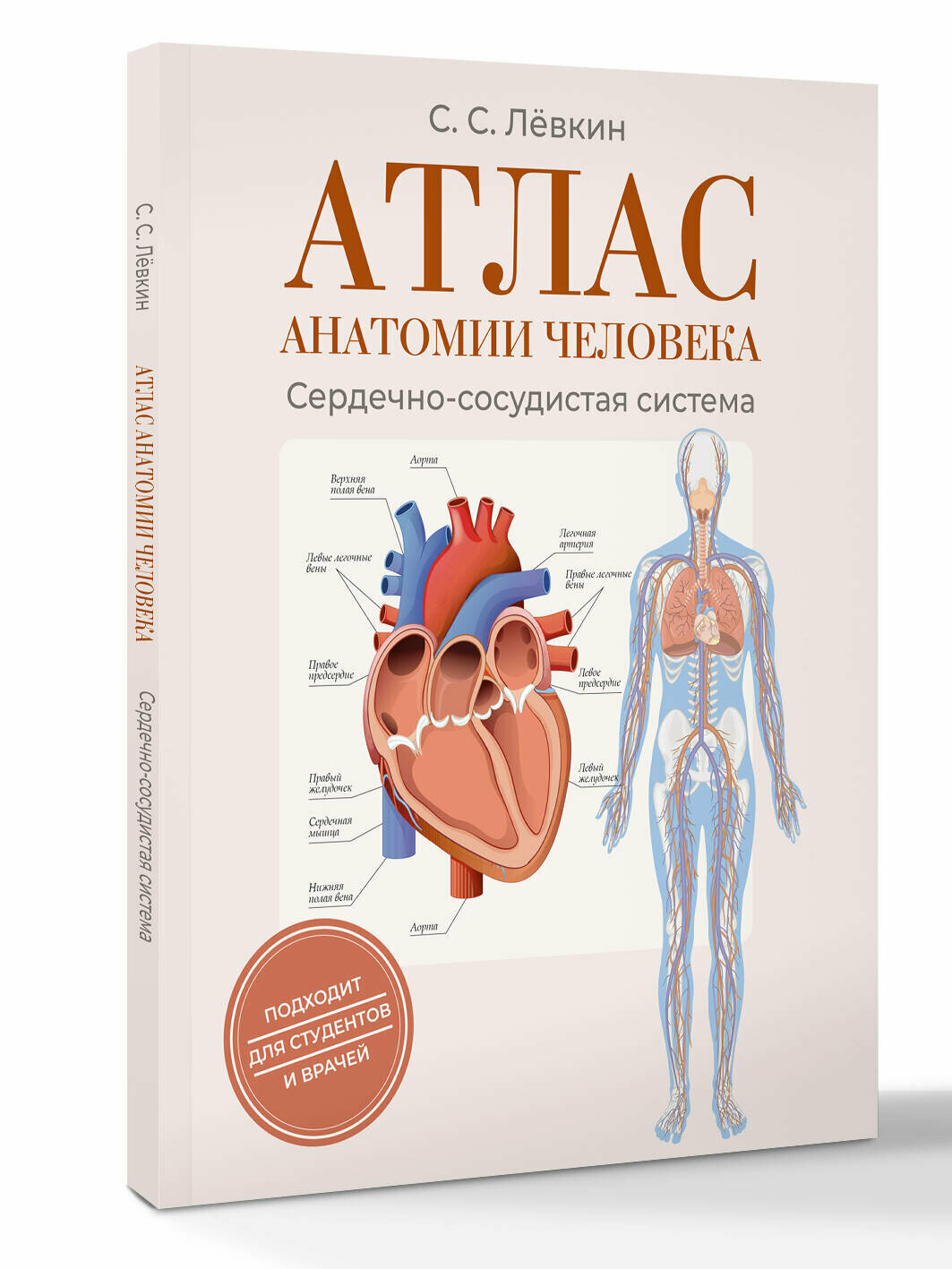 Атлас анатомии человека. Сердечно-сосудистая система Лёвкин С. С.