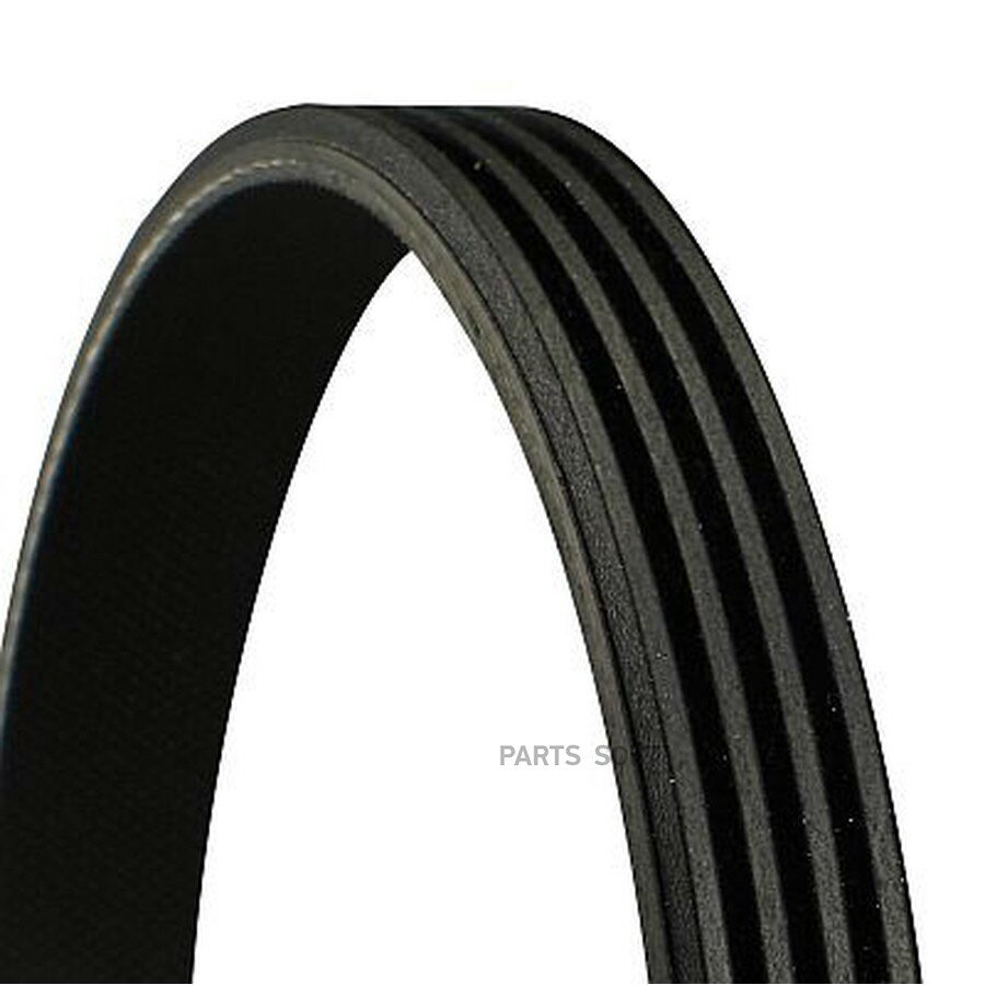 4PK825 CONTINENTAL Ремень поликлиновый Contitech 4PK825 Contitech CONTITECH