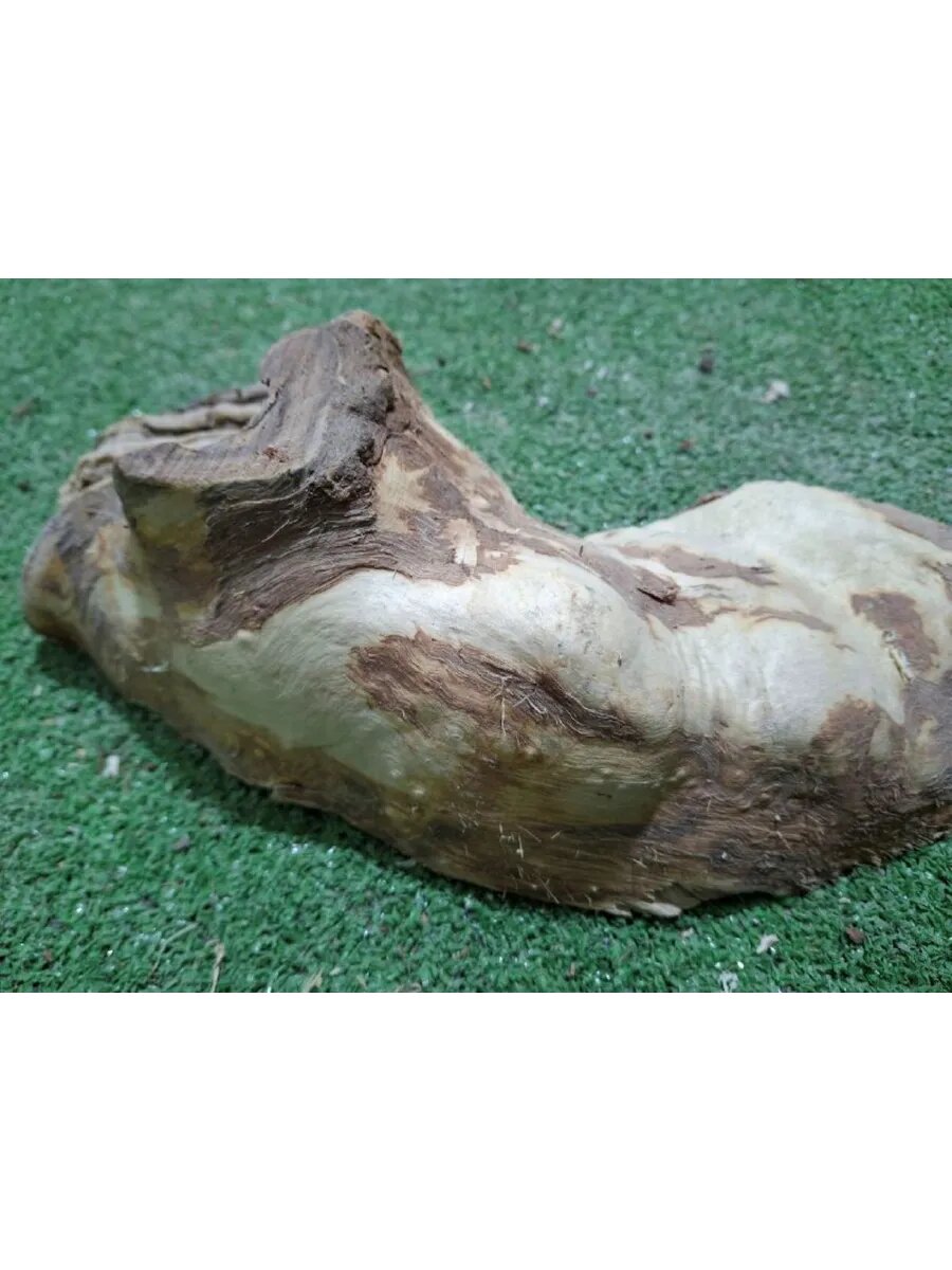 Слэб массив Бук (290-110-70мм)