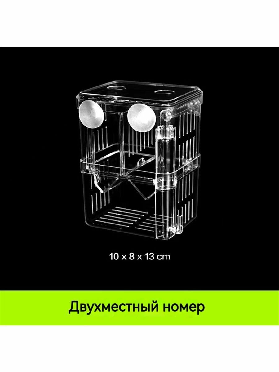 Отсадник для рыб