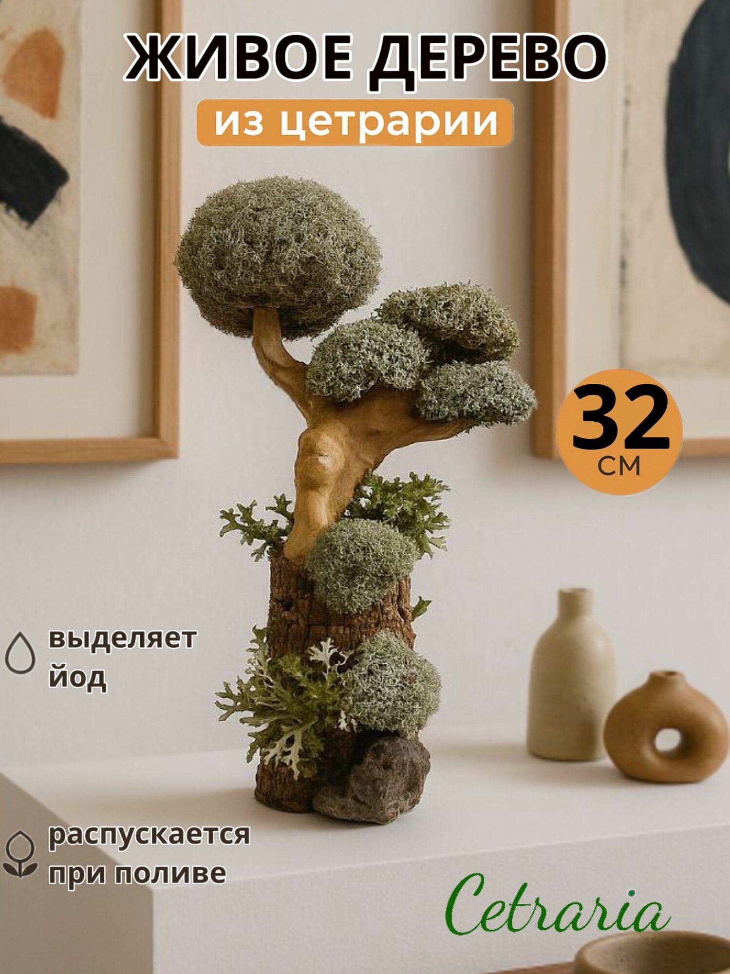 Декоративное Дерево настольное из исландского мха Цетрарии