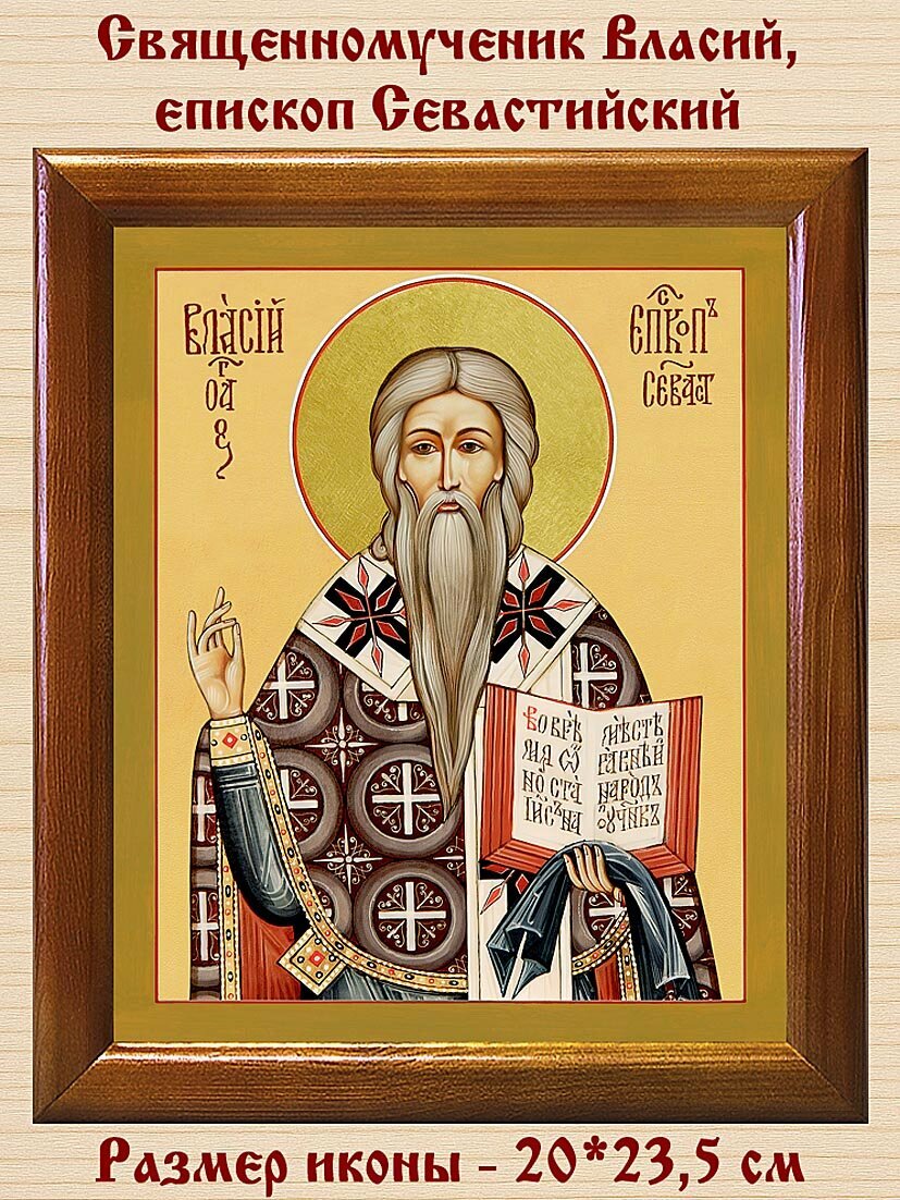 Священномученик Власий, епископ Севастийский, икона в темной деревянной рамке 20*23,5 см