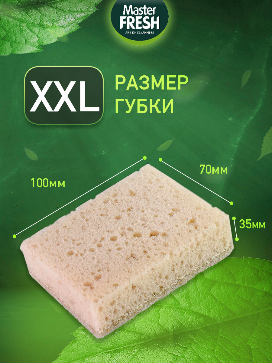 Губки для посуды из агавы Master FRESH ЭКО XXL-размер крупнопористый поролон, 2шт