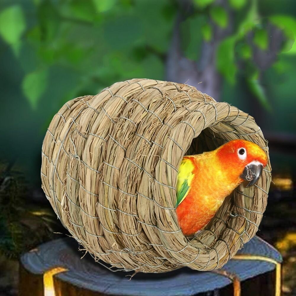Птичье гнездо