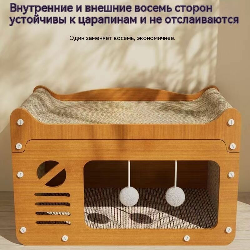 Зима в кошачьем доме