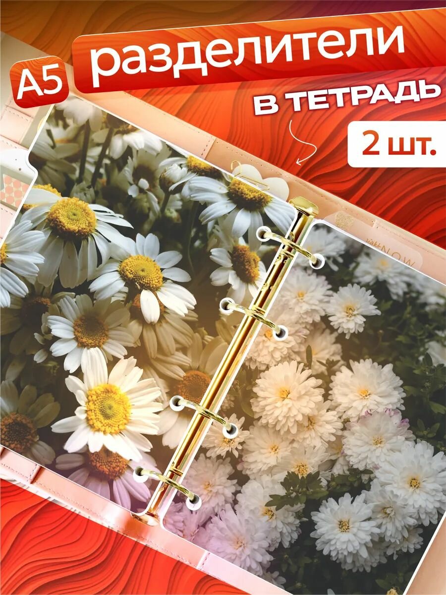 Разделители для тетради на кольцах Эстетика