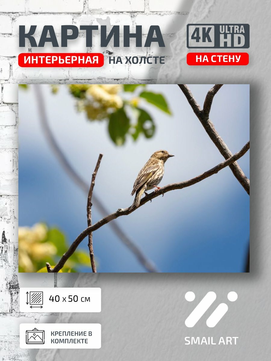 Картина на холсте интерьерная 40 на 50 на стену Весна Mood для гостиной атмосфера интерьер