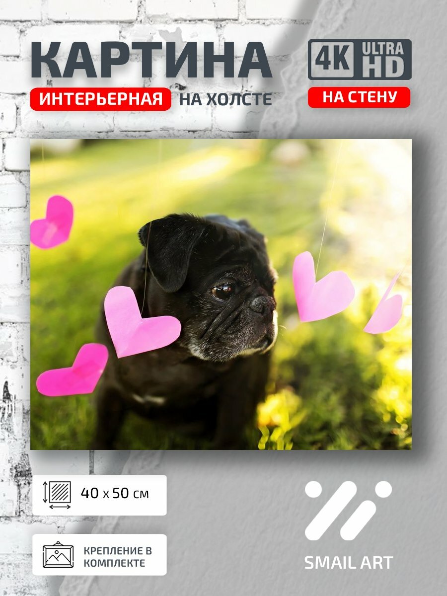 Картина на холсте интерьерная 40 на 50 на стену Мопс Mood для спальни атмосфера интерьер