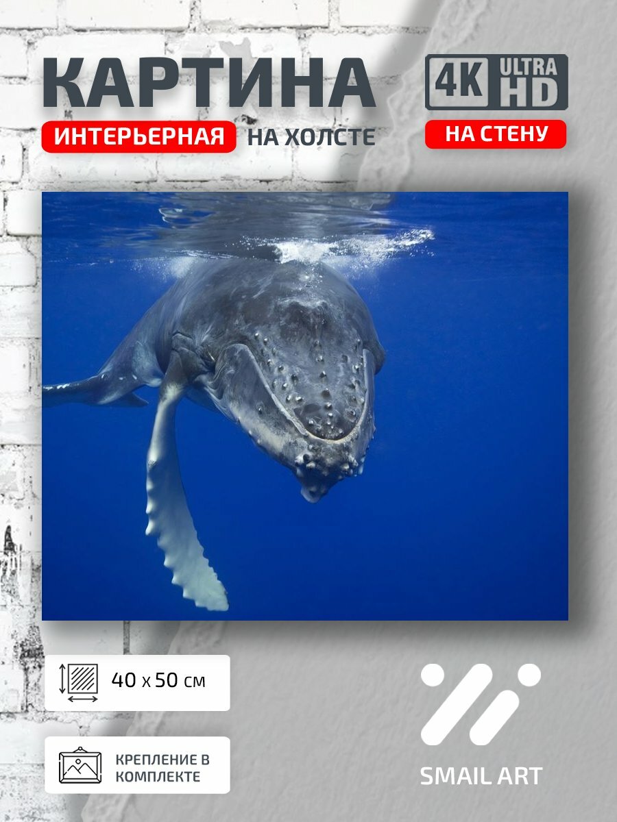 Картина на холсте интерьерная 40 на 50 на стену Кит Mood для студии атмосфера интерьер