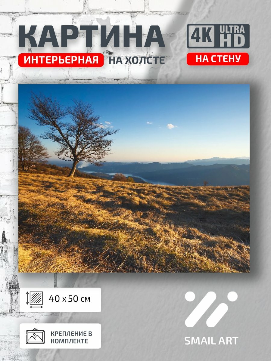 Картина на холсте интерьерная 40 на 50 на стену Степь Landscape для кабинета пейзаж декор