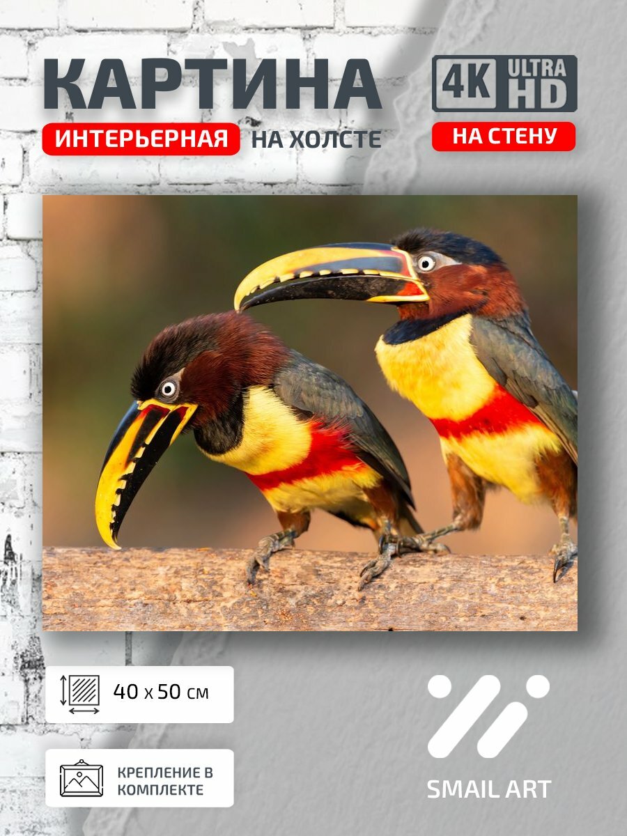 Картина на холсте интерьерная 40 на 50 на стену Клюв Animal для детской animal style декор