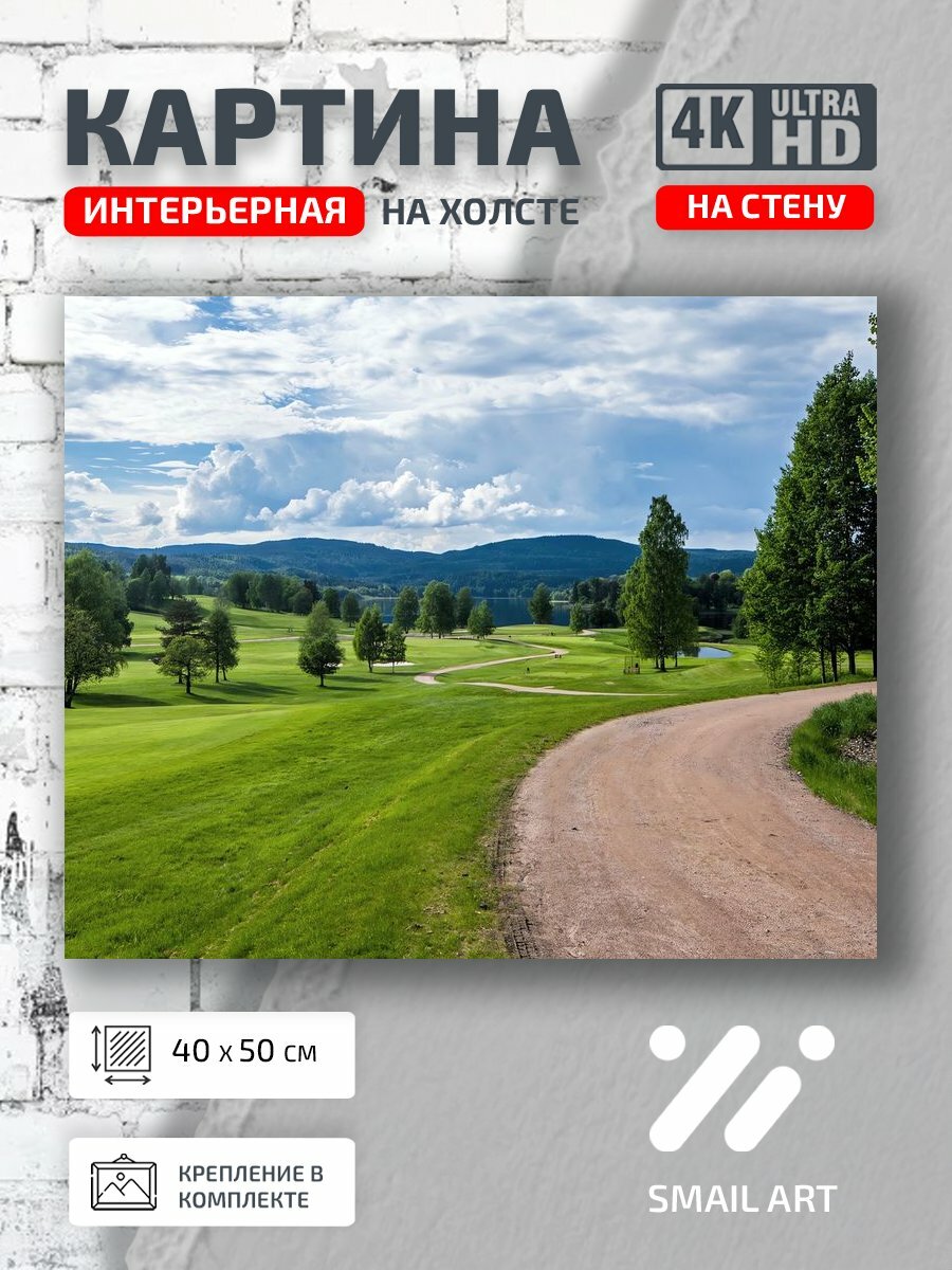 Картина на холсте интерьерная 40 на 50 на стену Дорога1 Landscape для кабинета пейзаж декор