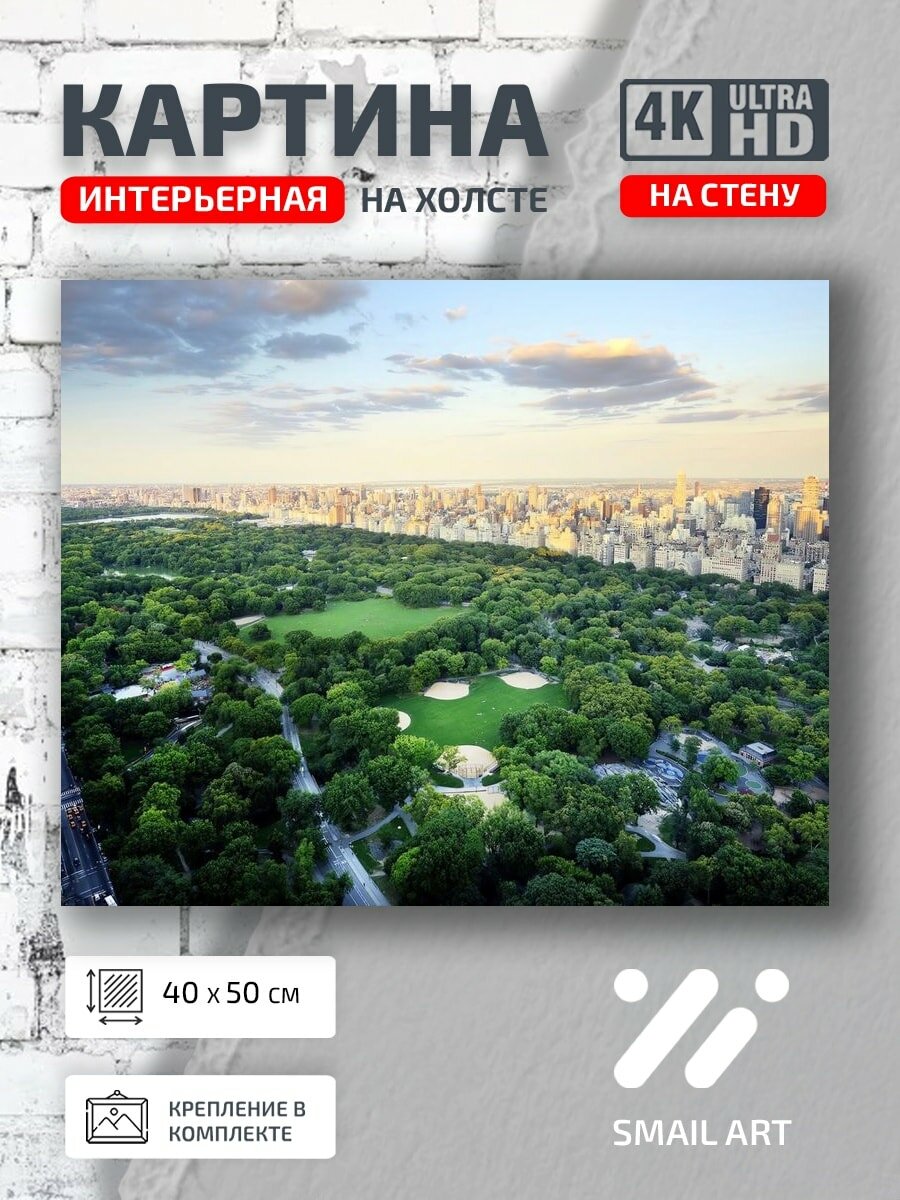 Картина на холсте интерьерная 40 на 50 на стену парк Нью-Йорк для студии атмосфера