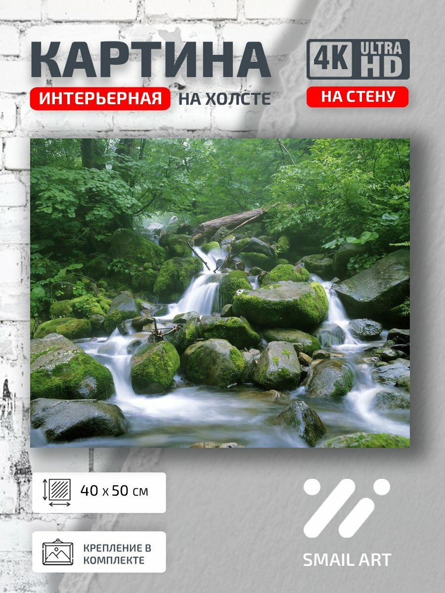 Картина на холсте интерьерная 40 на 50 на стену Яркая Beech для кабинета атмосфера интерьер