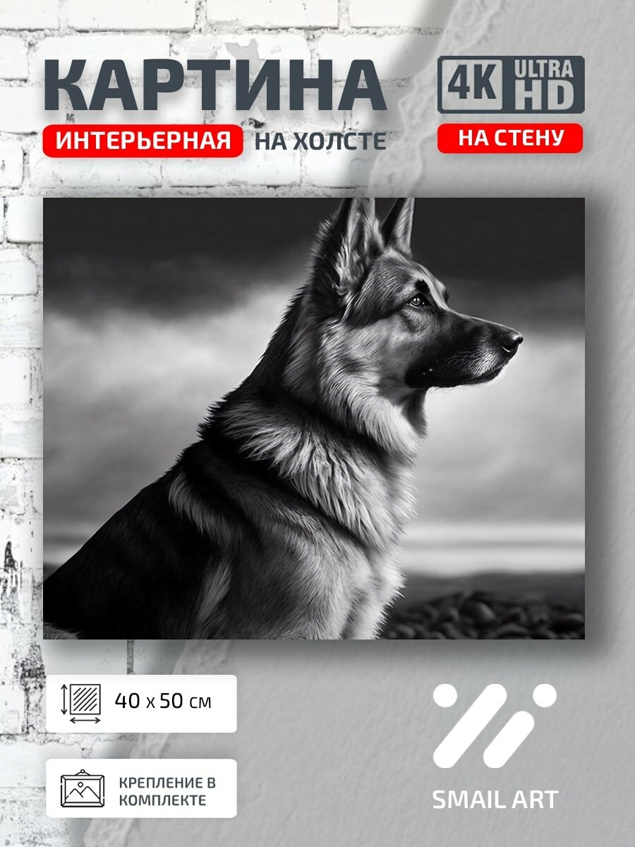 Картина на холсте интерьерная 40 на 50 на стену Животные Овчарка для кабинета атмосфера