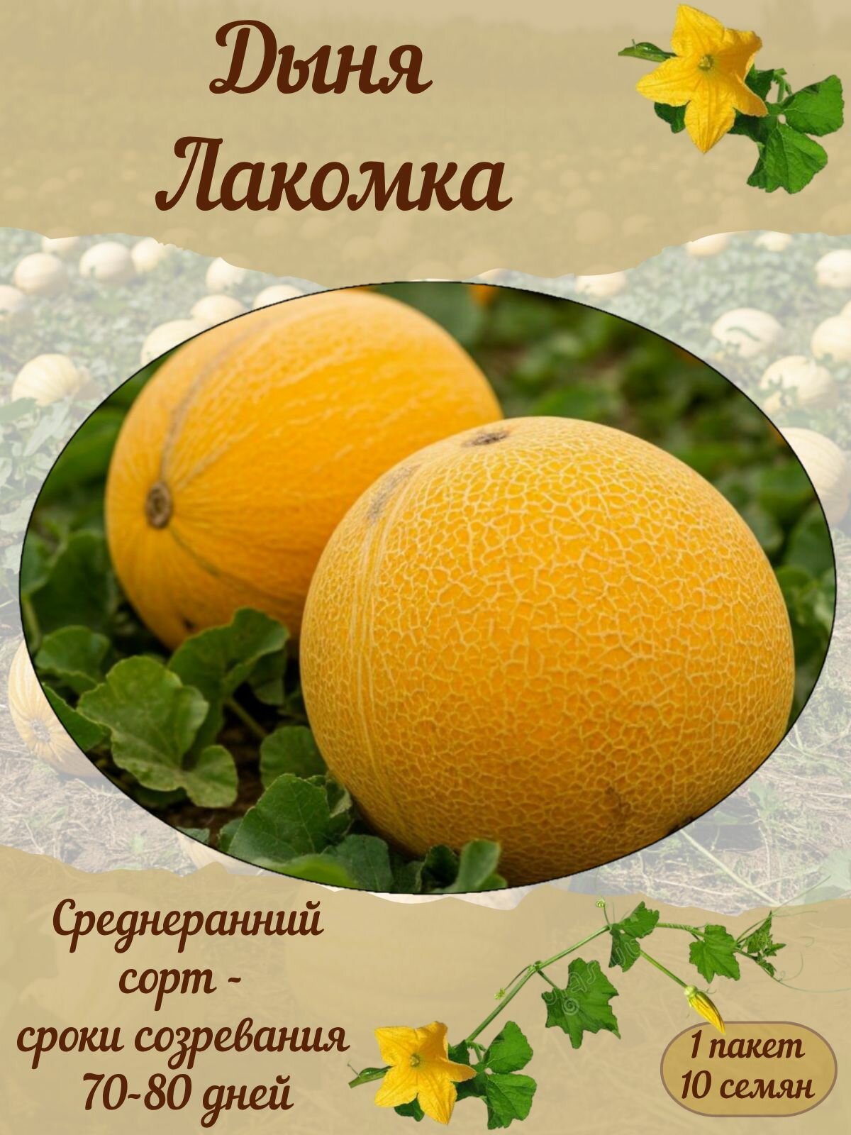 Дыня Лакомка, 10 шт, 15 гр.