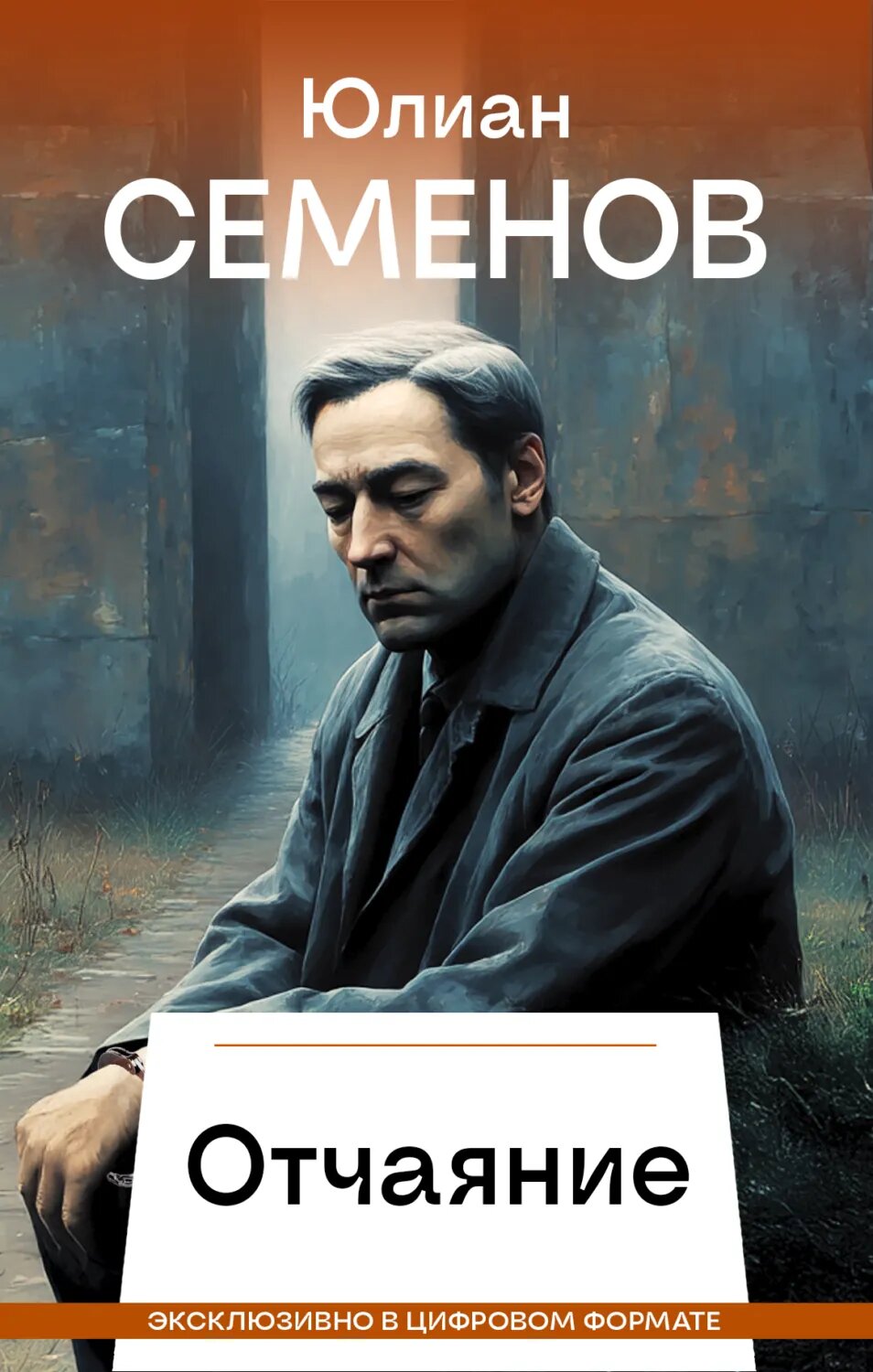 Отчаяние [Цифровая книга]