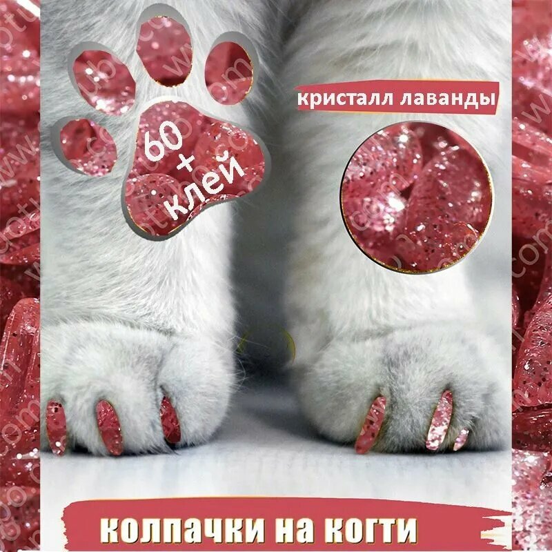 Антицарапки60 шт, колпачки на когти для кошек, колпачки защитные на ногти для кошек и котят, Мягкие коготки