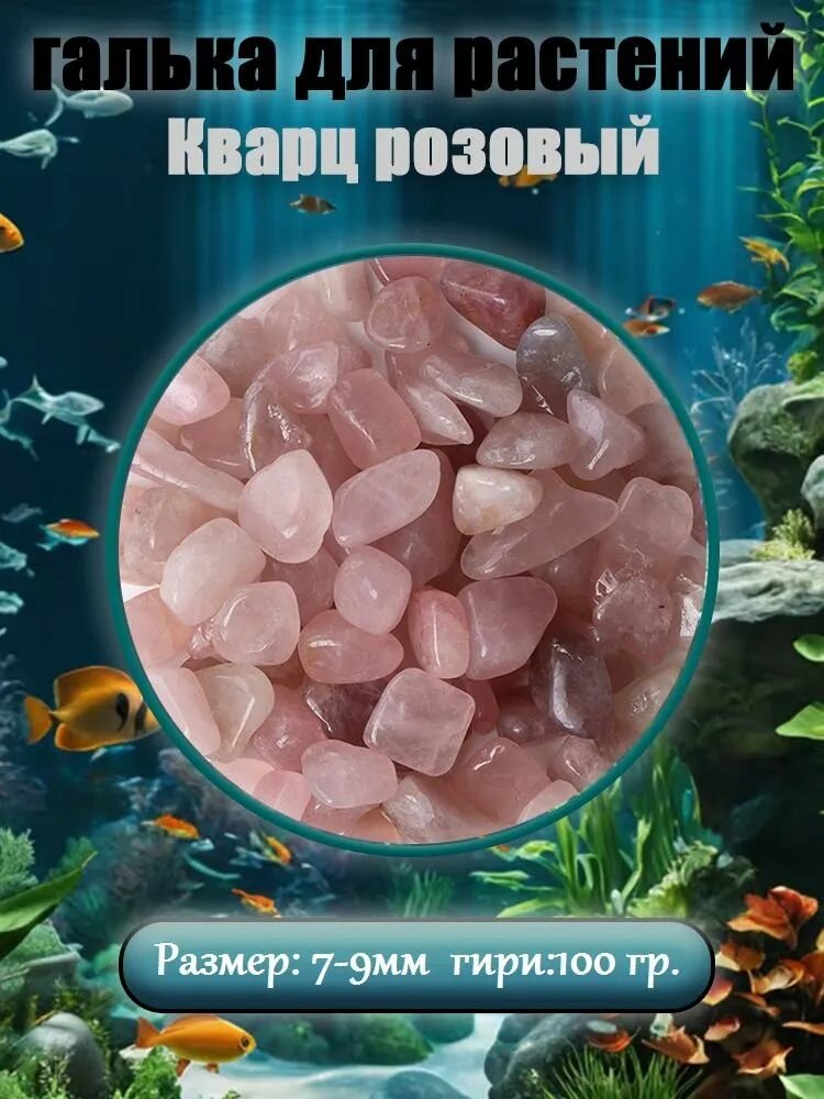 Кварц розовый Грунт для аквариума и растений , кактуса и суккулентов , Каспийская галька 7-9 мм, 100 гр.