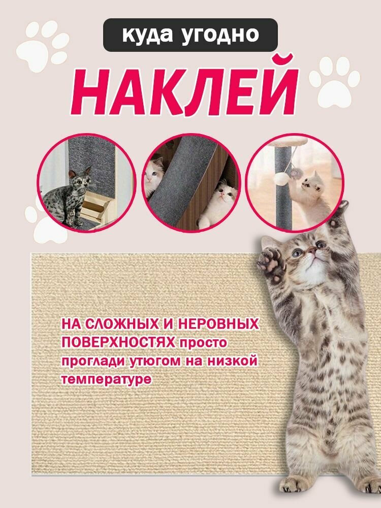 Когтеточка — фото 1