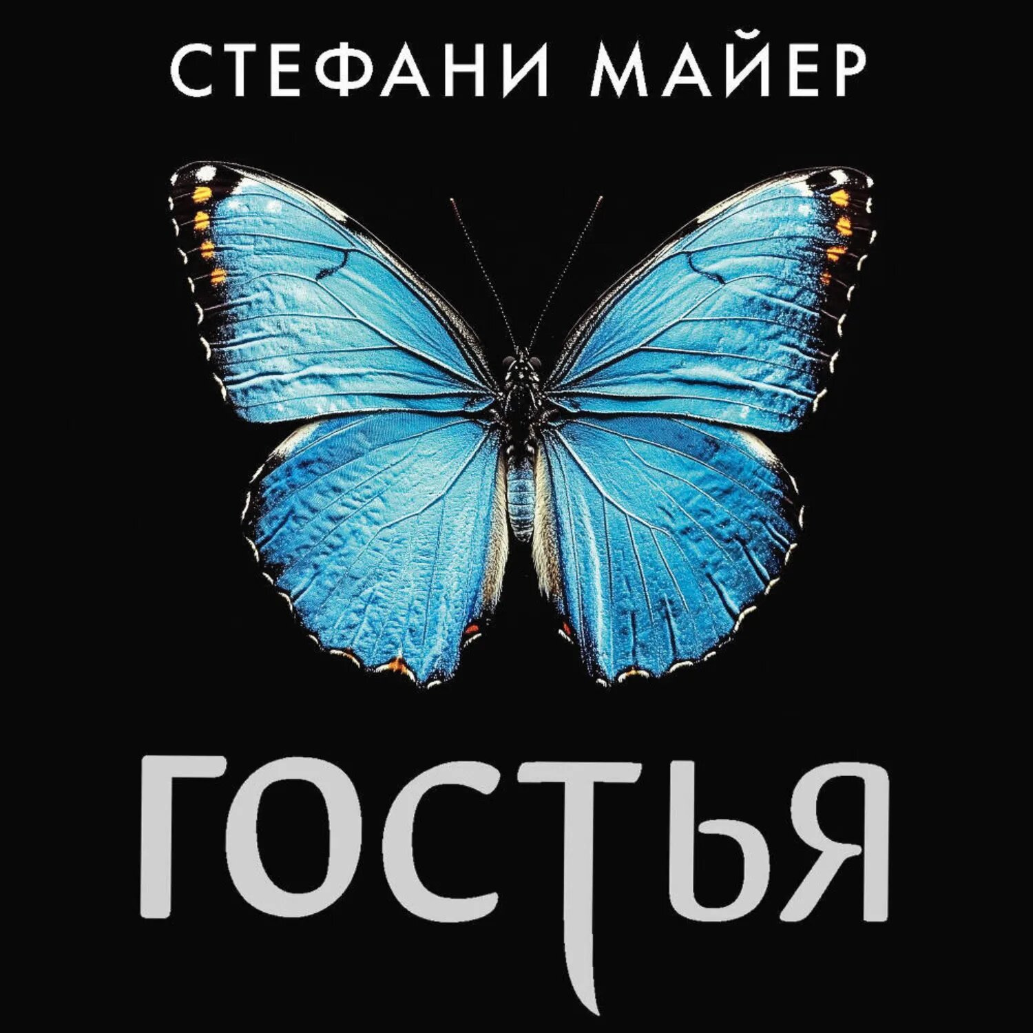 Гостья [Аудиокнига]