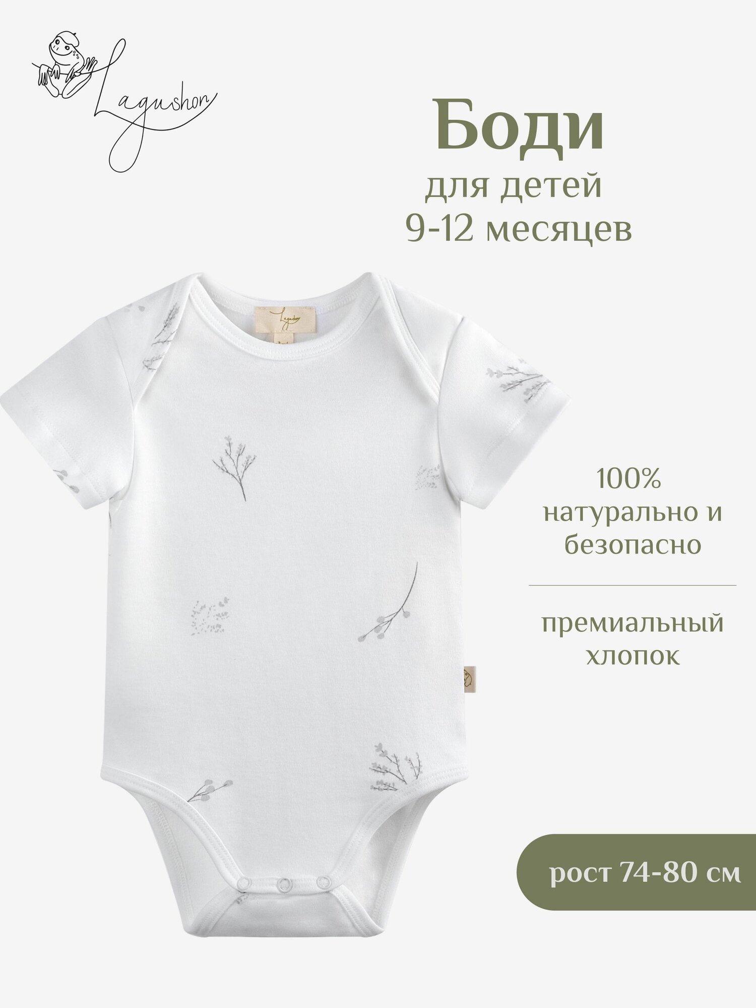 Боди