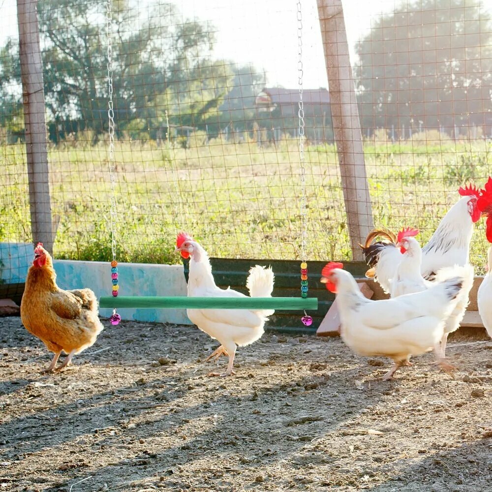 1 Штука Качели Для Кур, Из Натурального Дерева И Железа, Для Игры И Упражнений