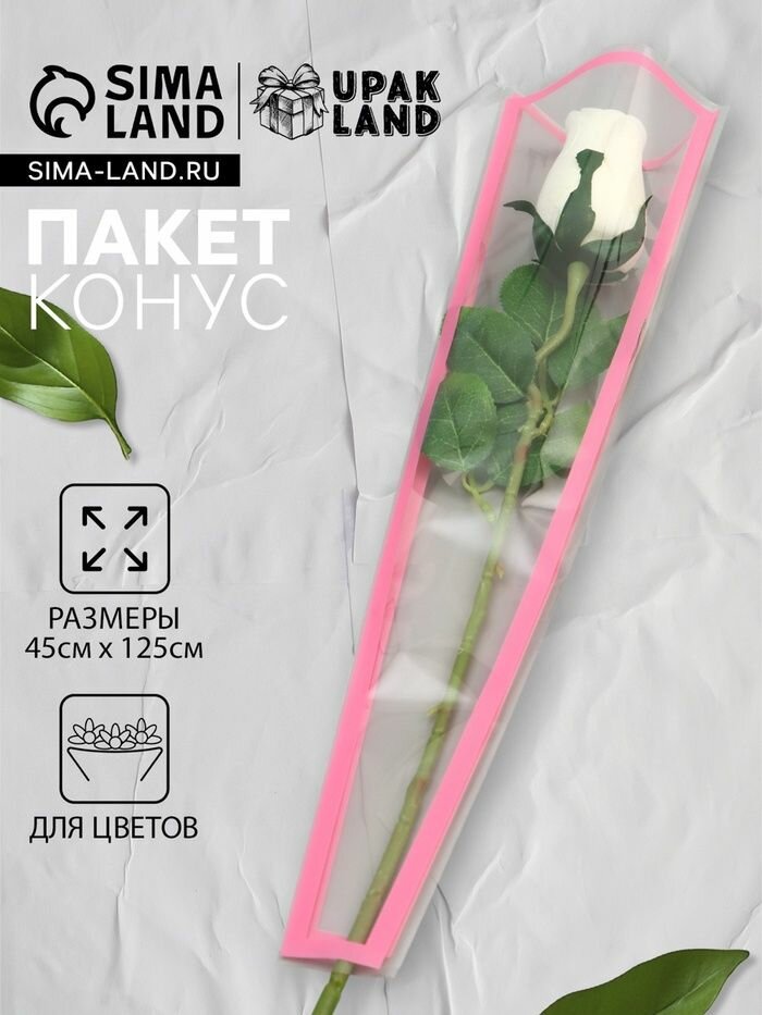 Пакет конус для цветов, Кайма , 12.5 4 45 1 см, розовый барби