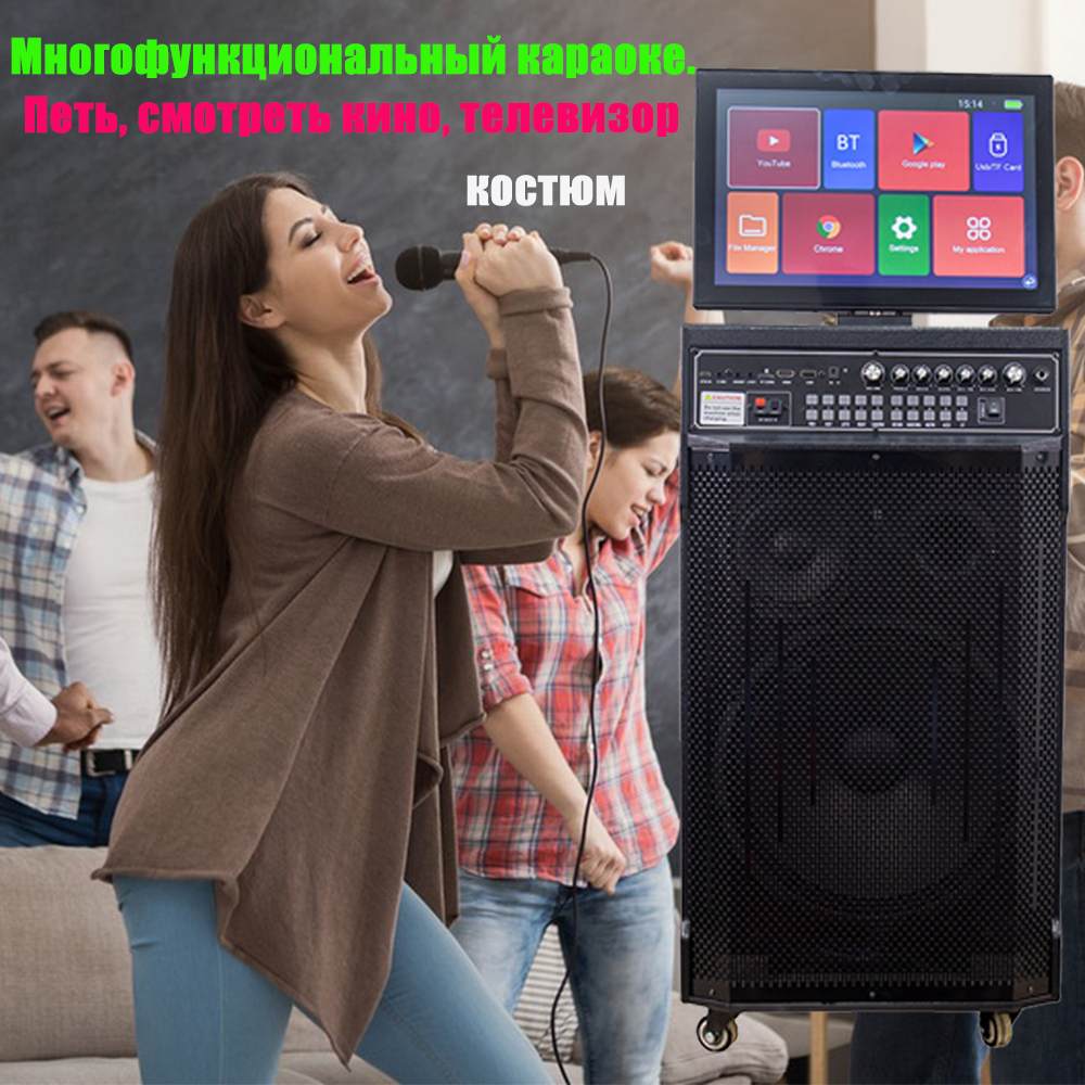Портативная музыкальная система karaOK, с сенсорным экраном 14", 10" динамик, Bluetooth