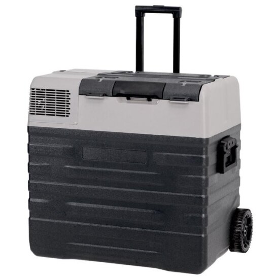 Автомобильный холодильник Alpicool NX62 (12/24)