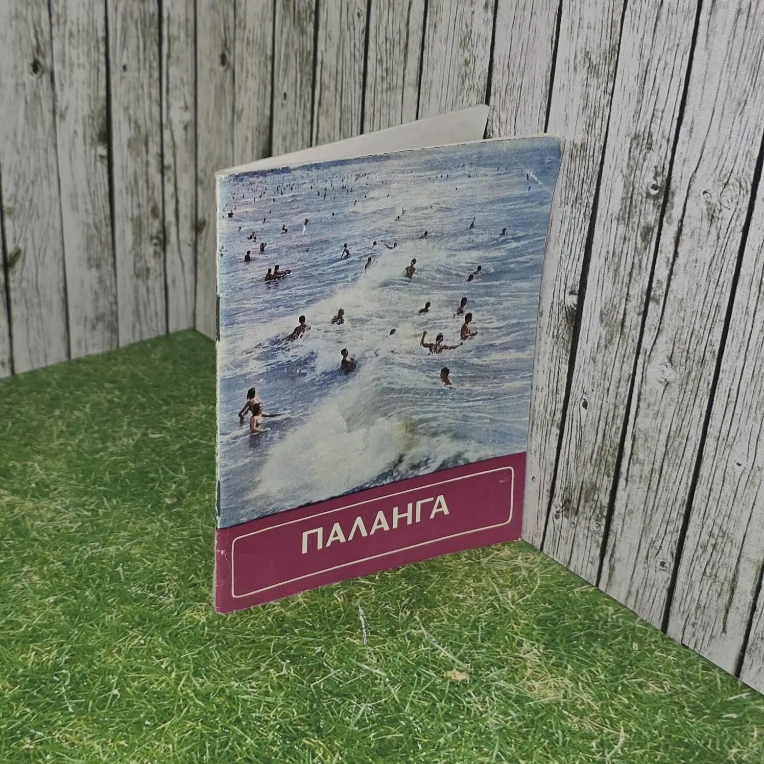 Паланга. Кривицкас Сигитас Повилович