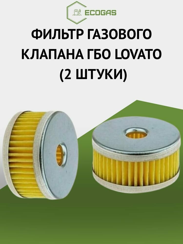 Фильтр газового клапана ГБО LOVATO (2 штуки)