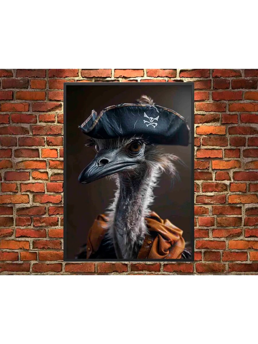 Животное-пират с фермы Эму 4, Плакат 30x42см