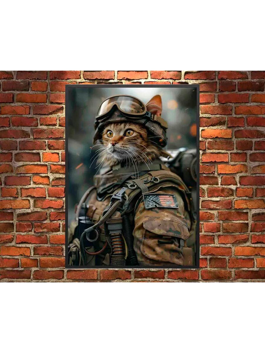 Американский Курчавый кот-солдат 1, Плакат 30x42см