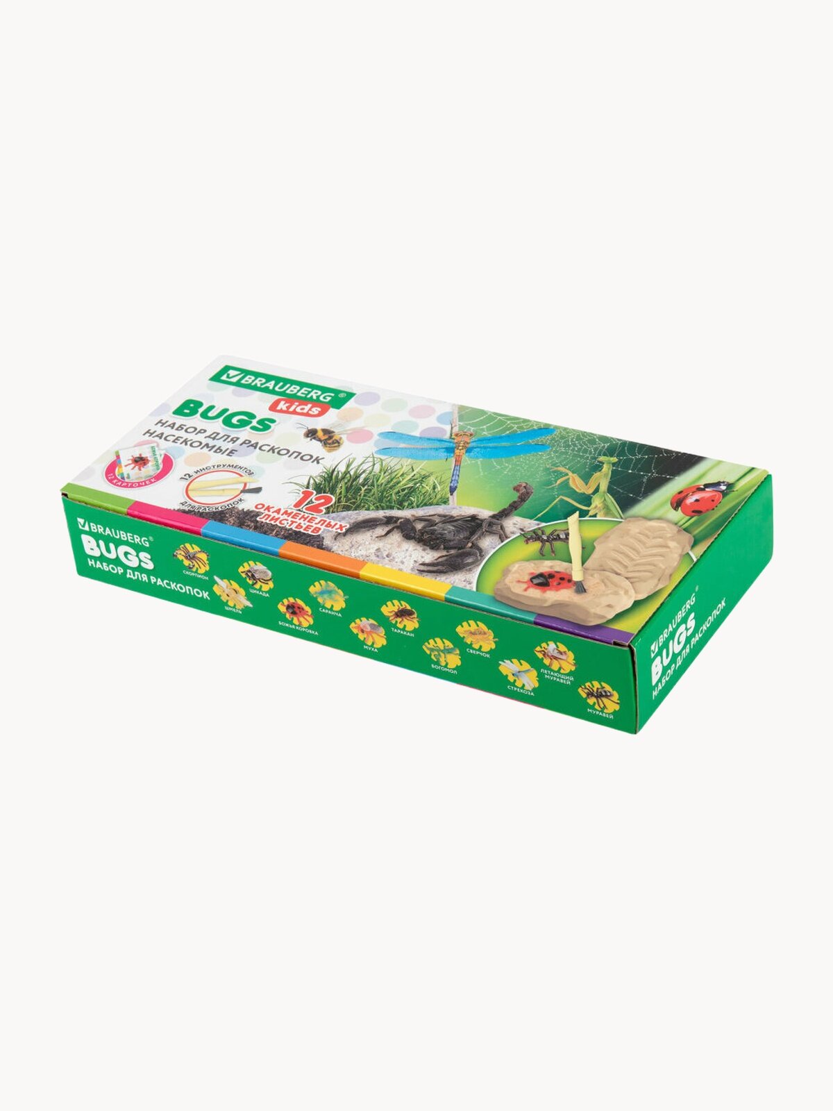 Проведение раскопок BRAUBERG Насекомые