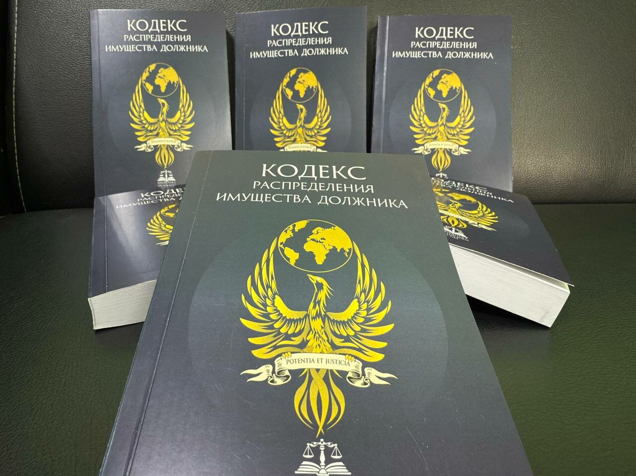 Книга "Кодекс распределения имущества должника", 2025 г, Герштейн Г. И.