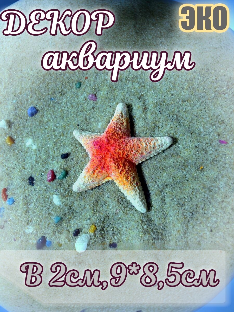 Морская звезда коралл ЭКО "Звезда Пористая", ручная работа, биопластик, высота 2 см, длина 9 см