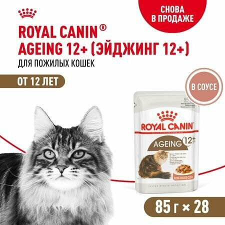 ROYAL CANIN AGEING 12+ набор 5 упаковок 28 шт по 85 г влажный корм, мелкие кусочки в cоусе для стареющих кошек старше 12 лет