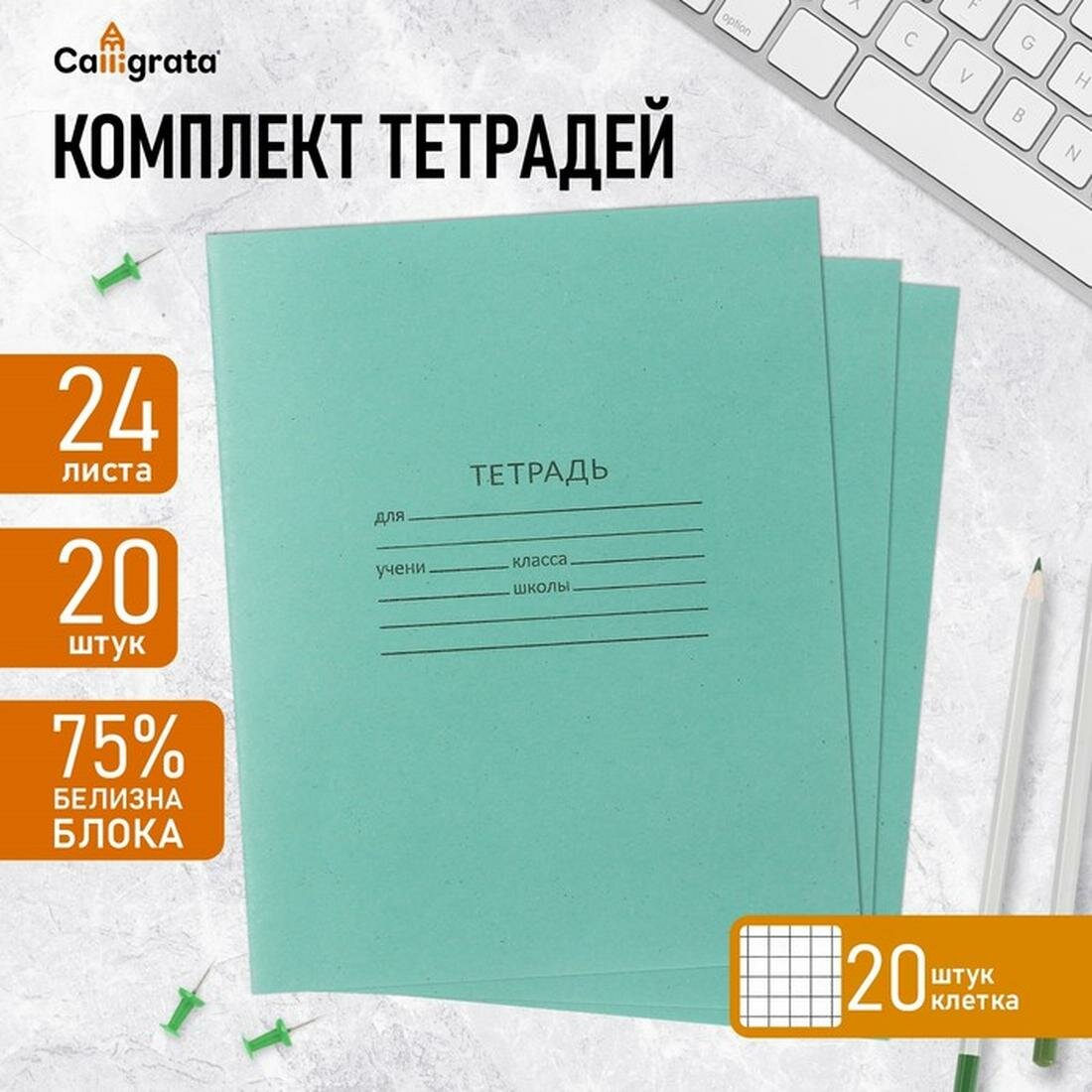 Комплект тетр 20 шт 24л кл Зелёная обложка блок №2 , 60г/м2, бел 75% (1167373) 10336614
