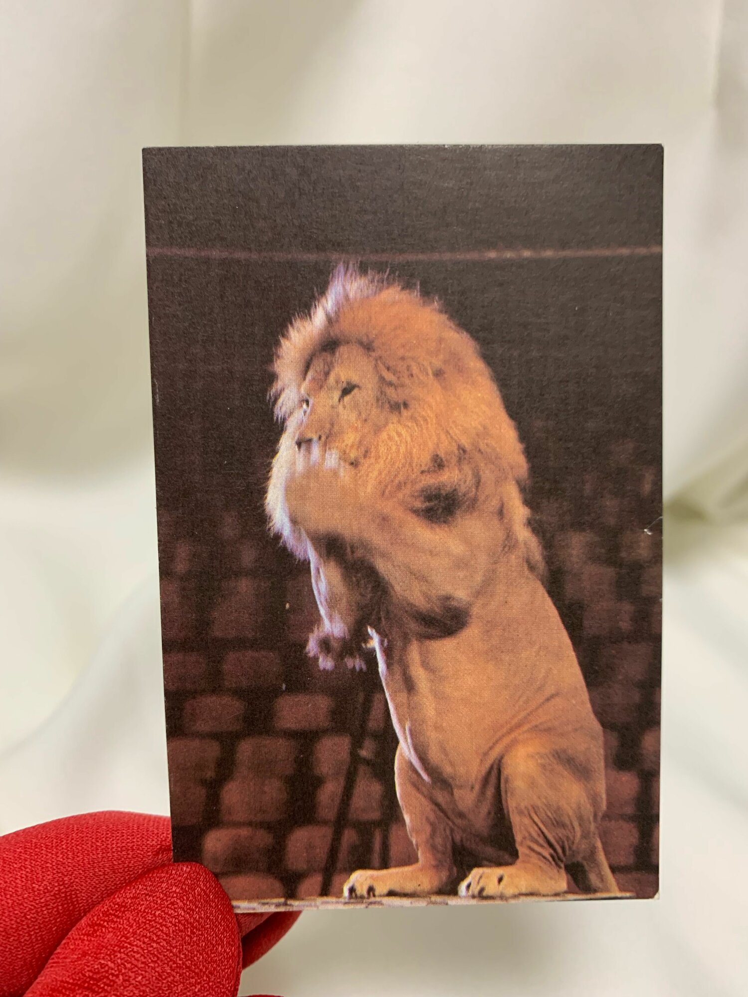 Коллекционный карманный календарь "Лев" 1989г.