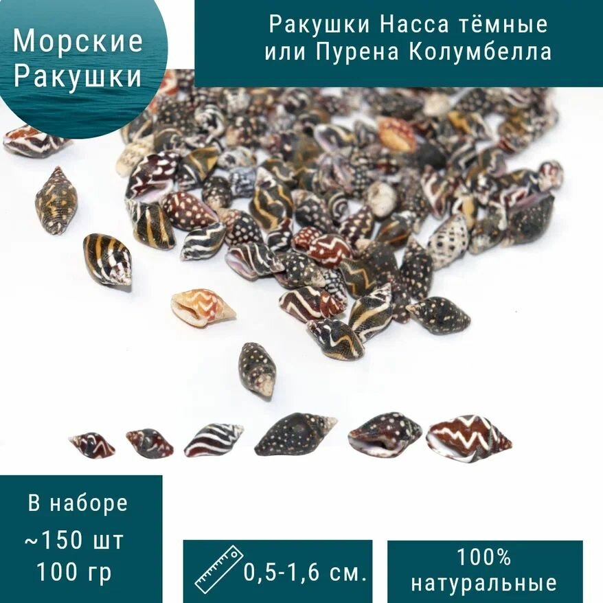 Ракушки тёмные мелкие насса 100гр для эпоксидной смолы и украшений