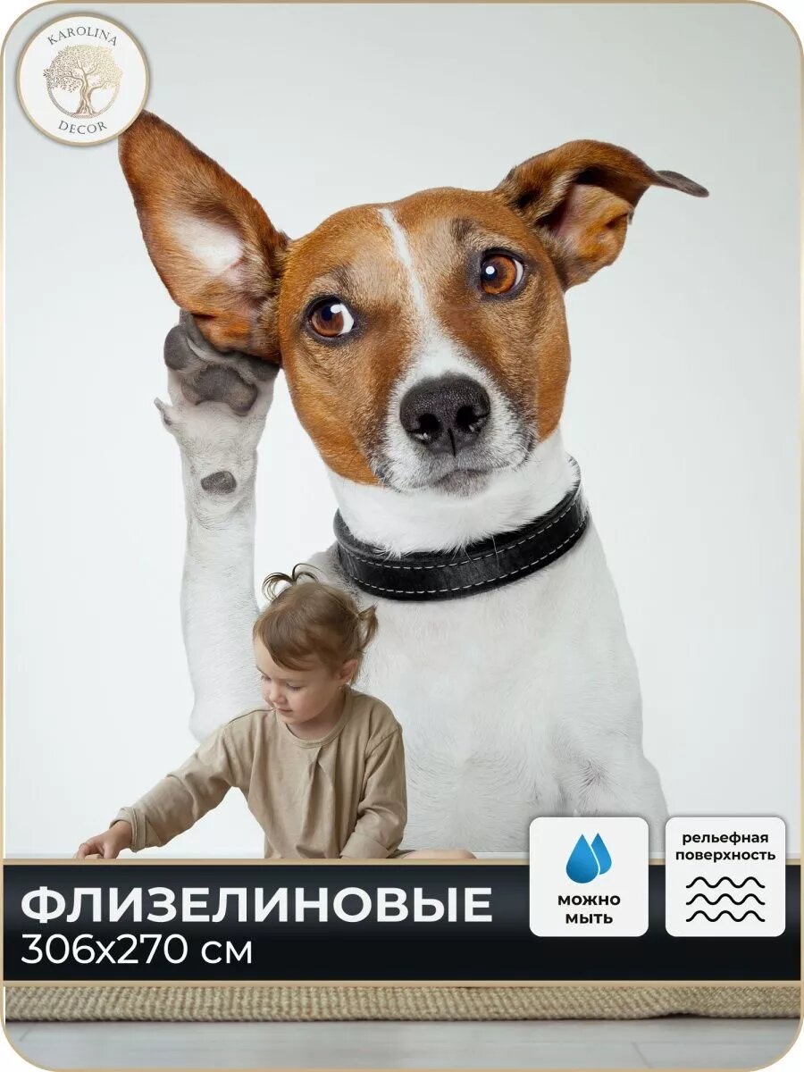 Фотообои Собака в детскую в спальню на кухню 300х270