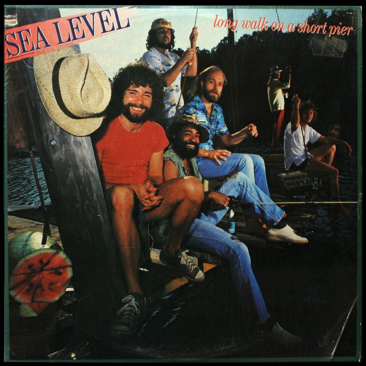 Виниловая пластинка Capricorn Sea Level – Long Walk On A Short Pier