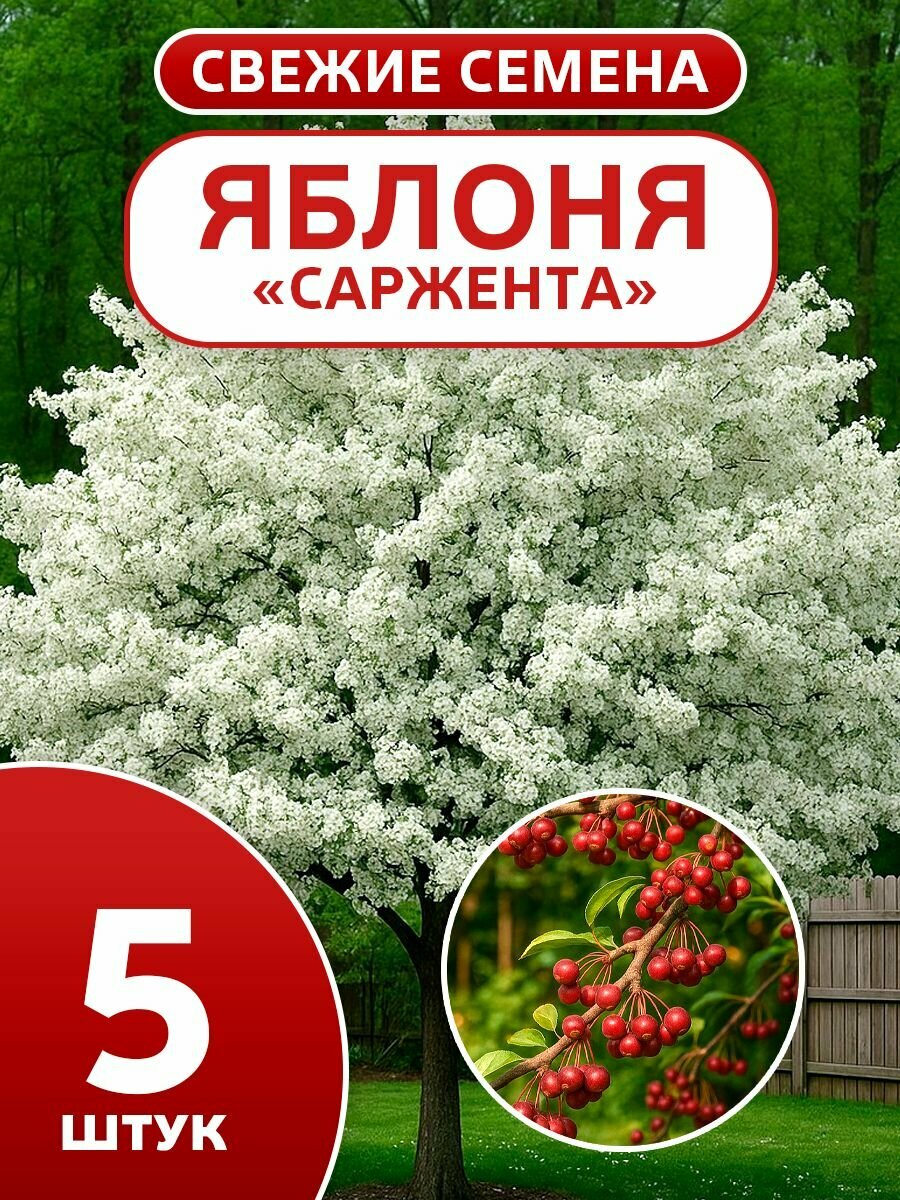 Семена яблони "Саржента" для выращивания